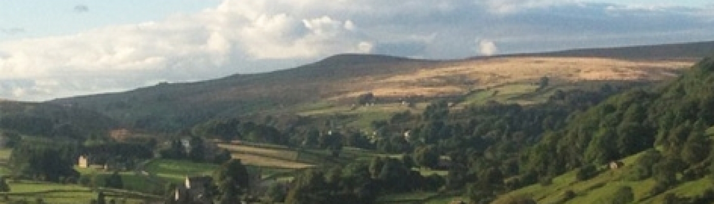 Swaledale Alliance - Home